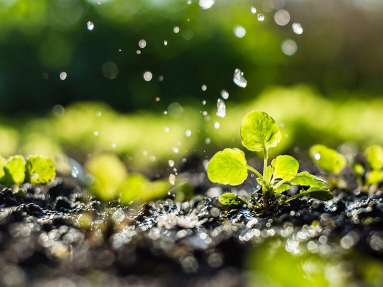 About The GMC Utilities Group - GMC Utilities